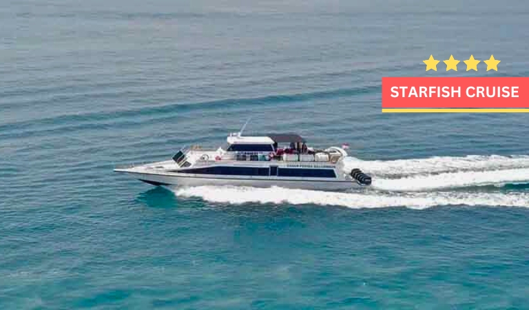 Starfish Fast Boat | Fast Boat Bali to Gili & Lombok